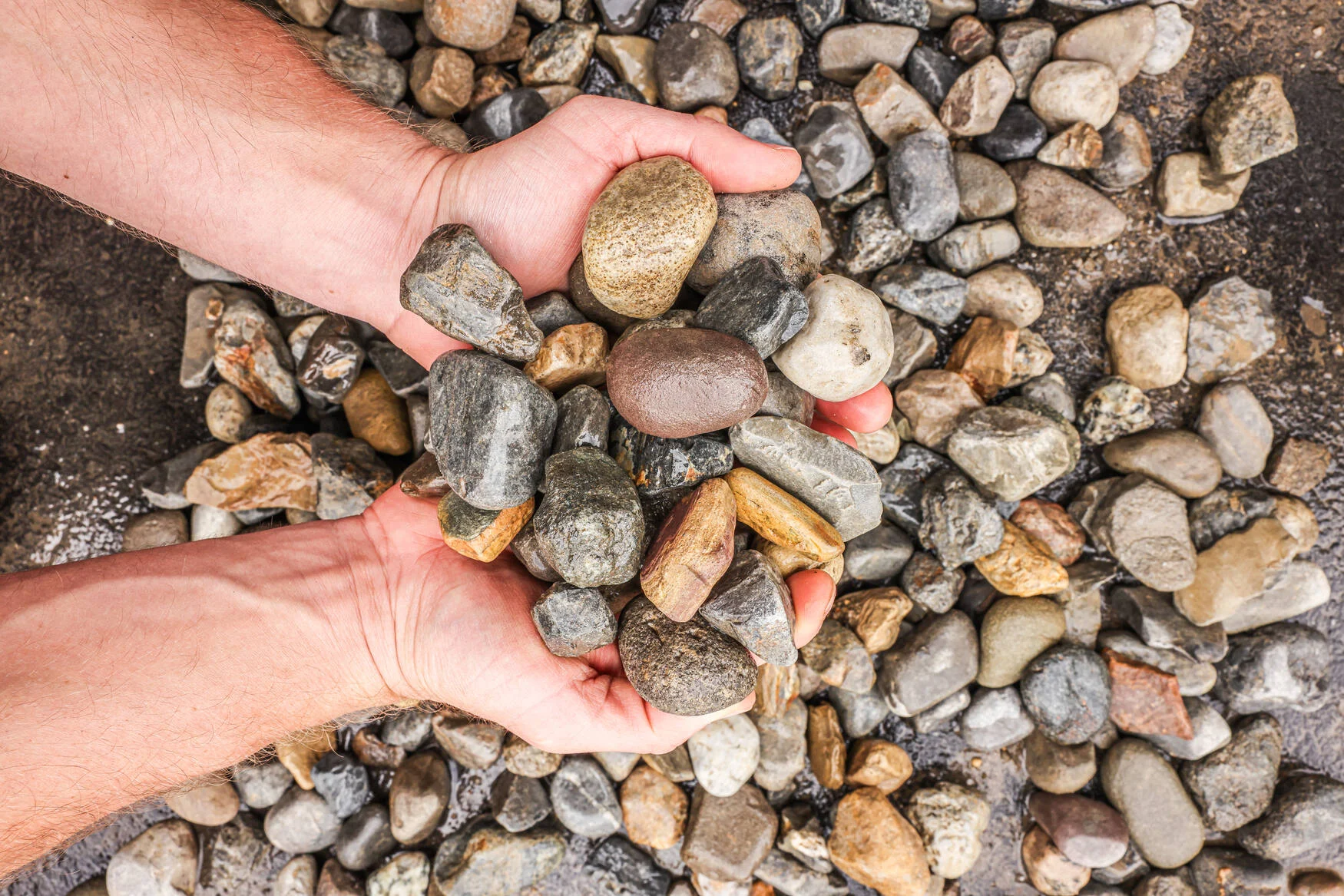1.5″ Washed Gravel (Shawangunk) - Aden Aggregates